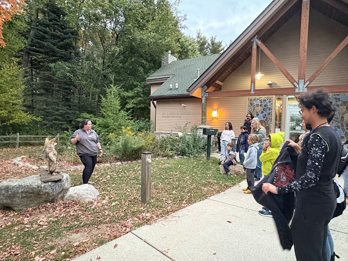 Into the Night: Exploring Coyotes at the Johnson Nature Center | News ...