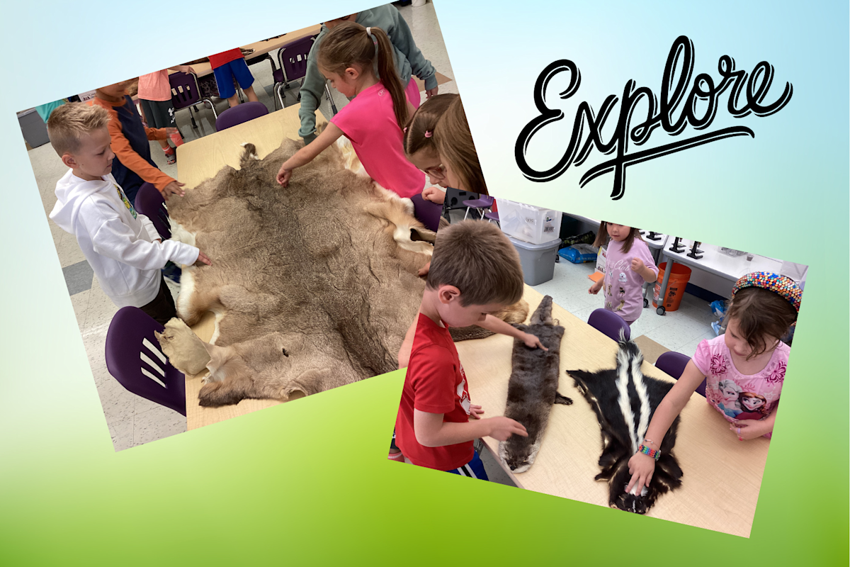 Kindergarteners Explore the World of Mammals | Default Board Post Page