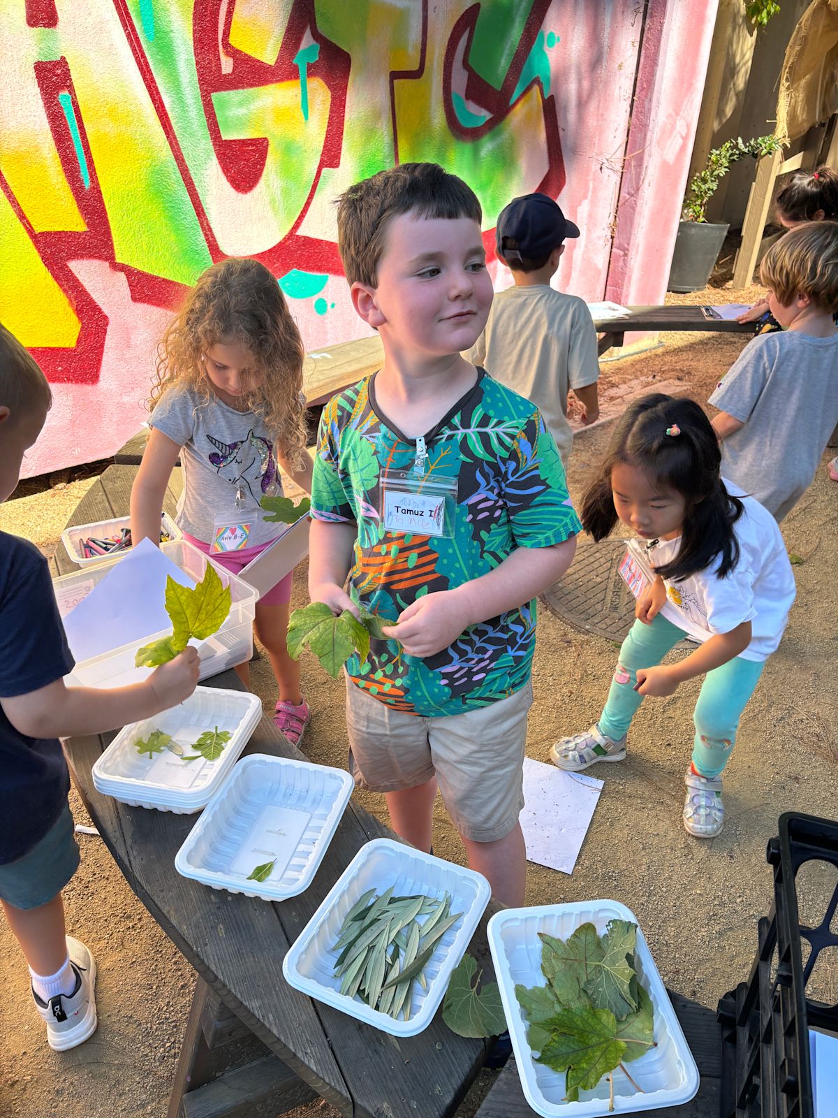 Spotlight: Hausner Garden—Nurturing Curiosity, Community, and ...
