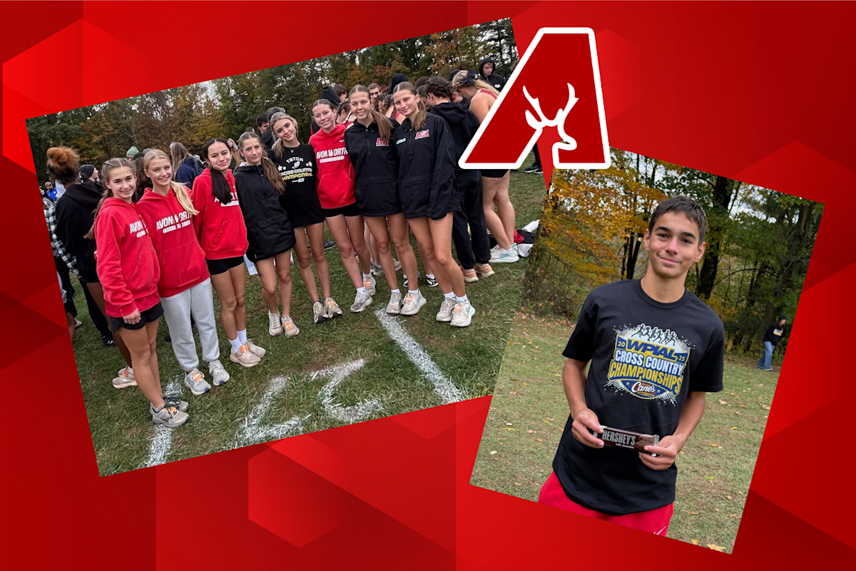Strong Showing at WPIAL Championships for Avonworth Cross Country ...