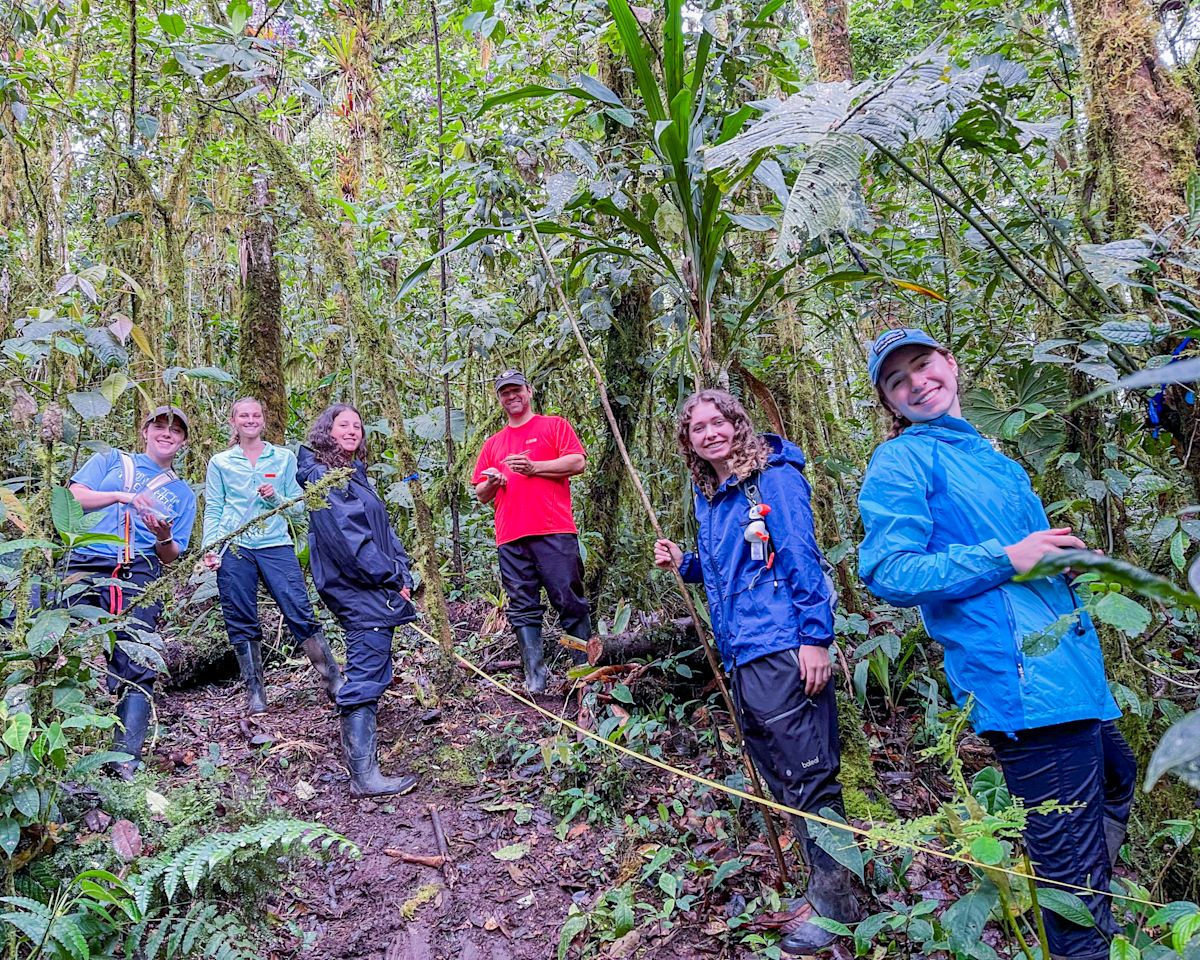 Growing Together: How Collaboration Sustains Research at Siempre Verde ...