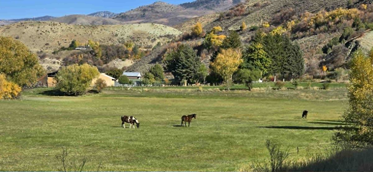 Piper King's Wellness Quest | News Details