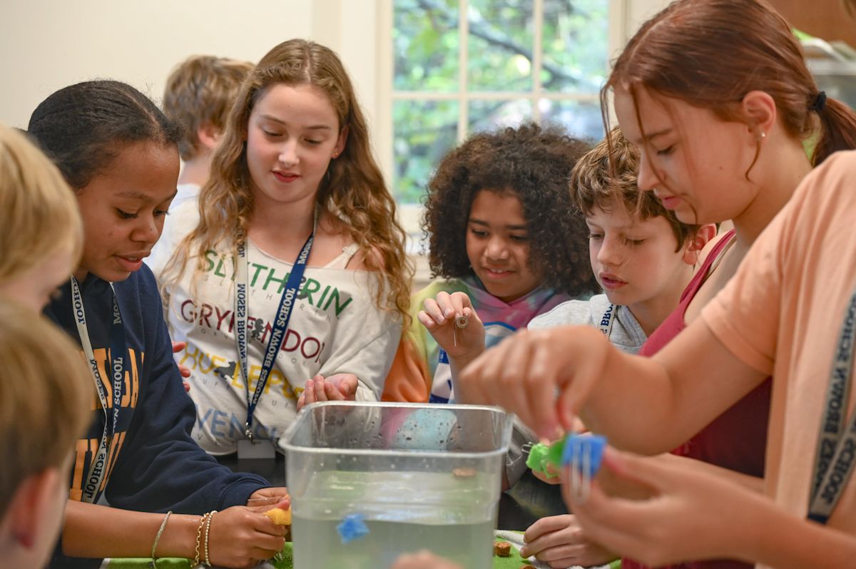 The Great Plankton Race: A Cross-Grade Science Challenge | News Details