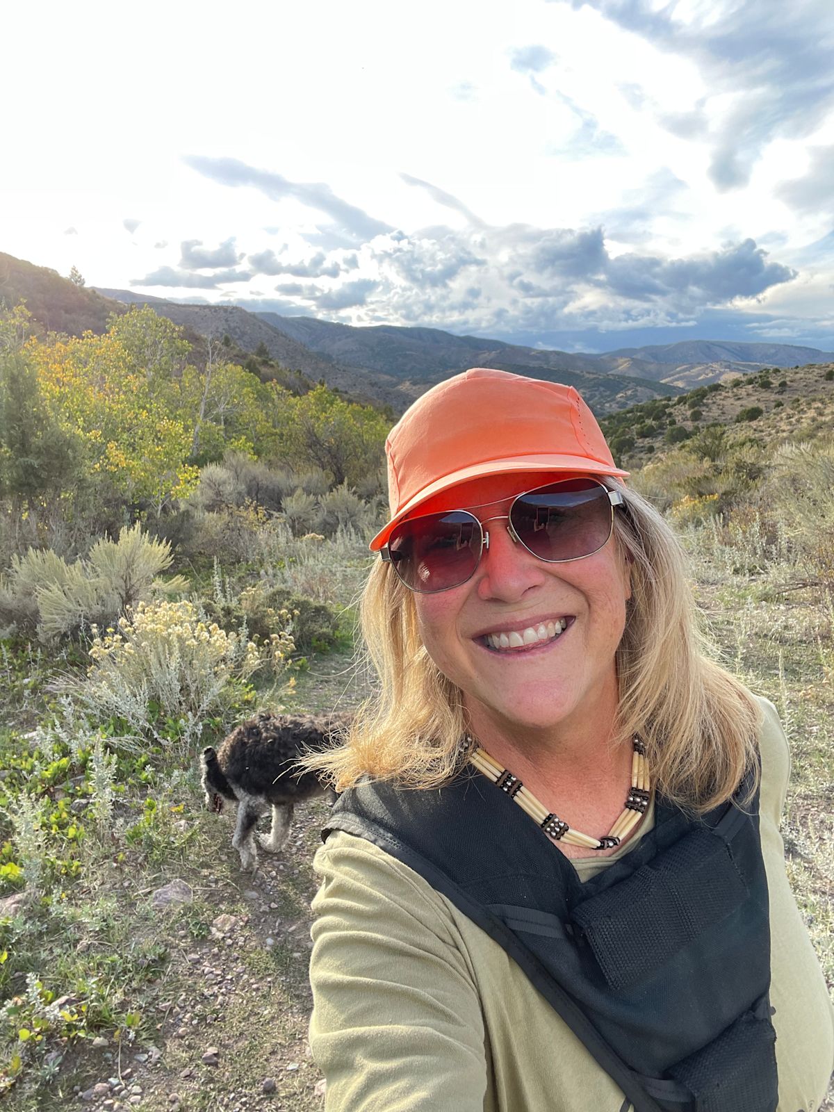 🏅 Wellness Quest Spotlight: Audrey Bateman Keeps Moving! | News Details ...