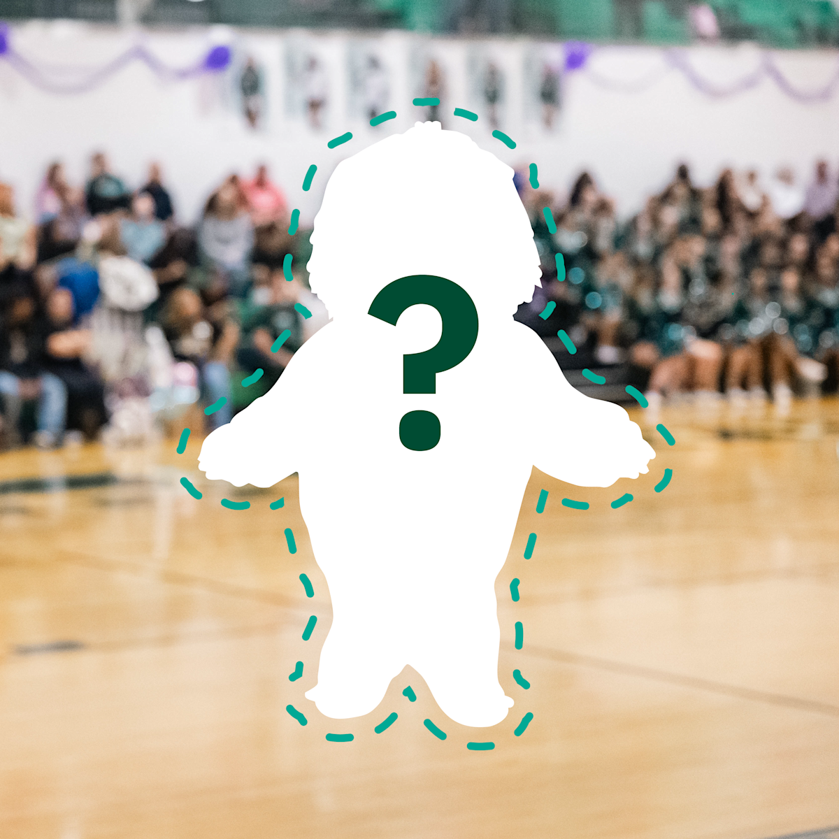 PHS Pioneer Mascot Search: Meet the Final 3! | Community News