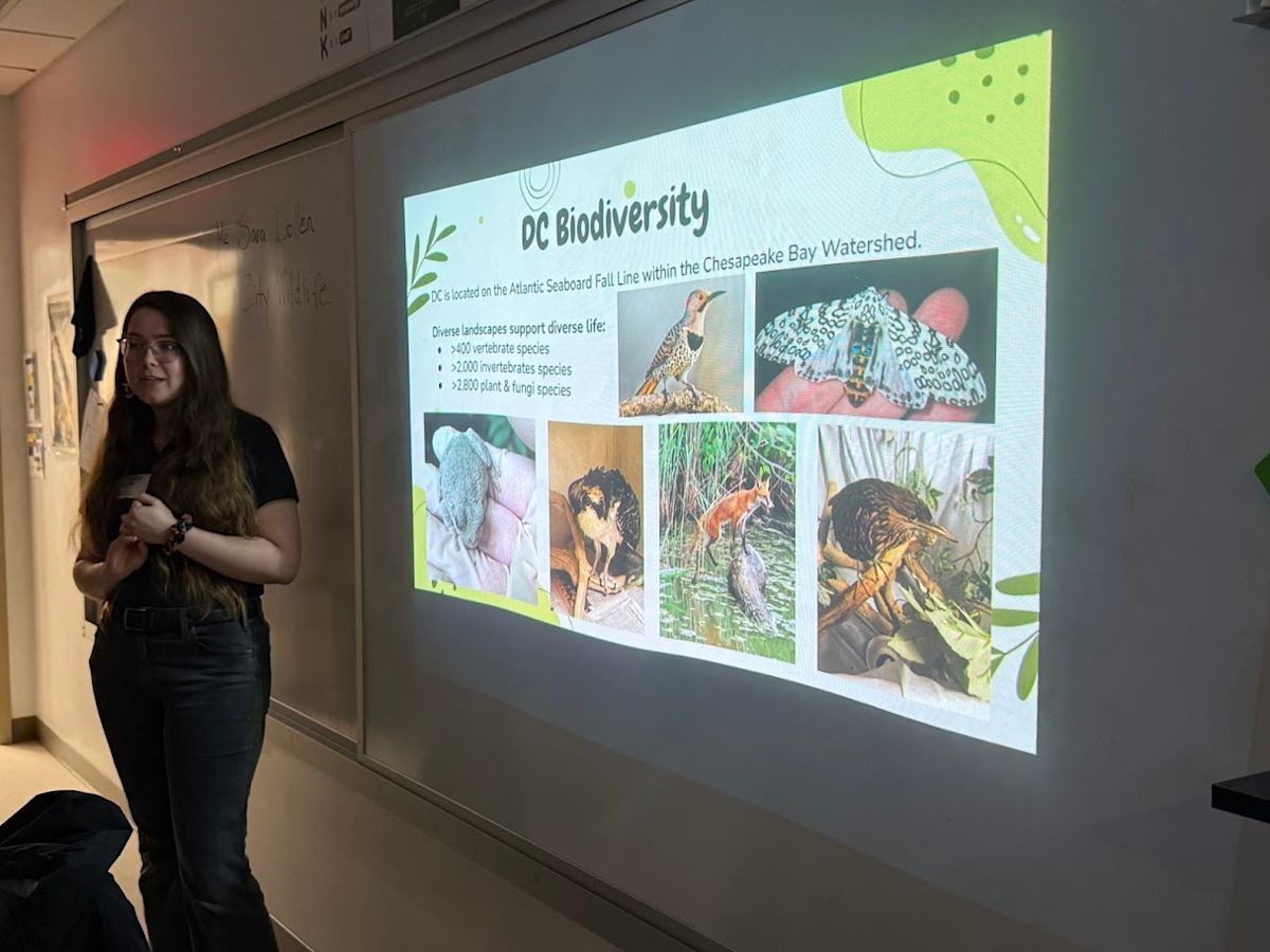 Caring for Our City’s Wild Neighbors: Grade 5 Learns About Wildlife ...