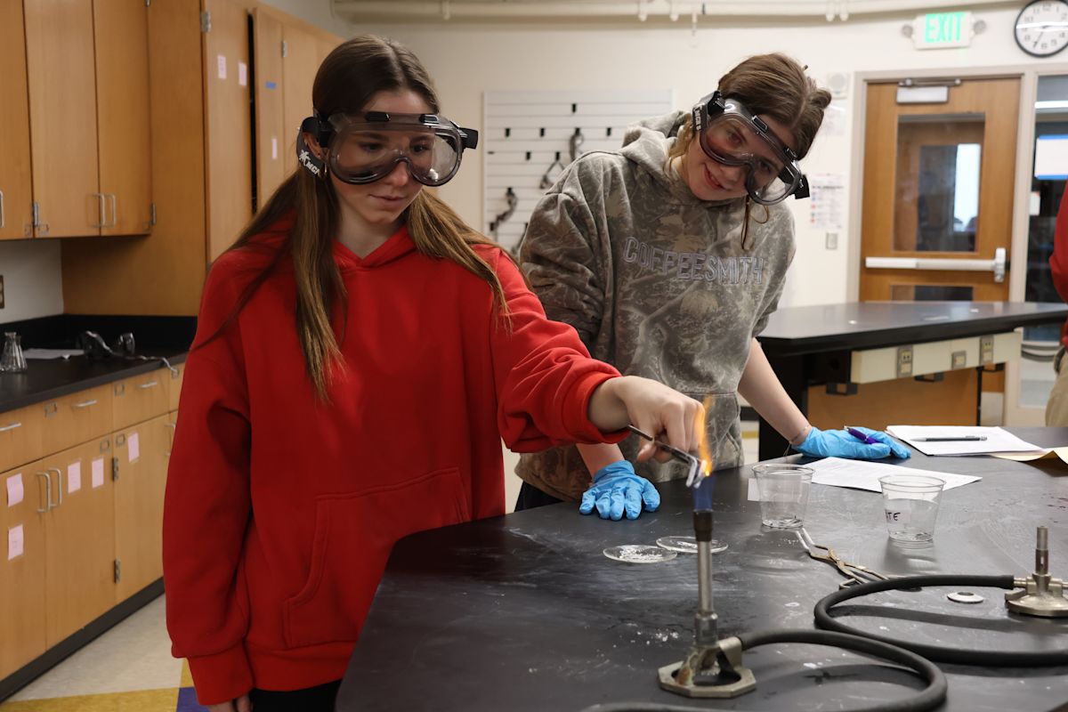 Chemical Reaction Lab Experiments | Article