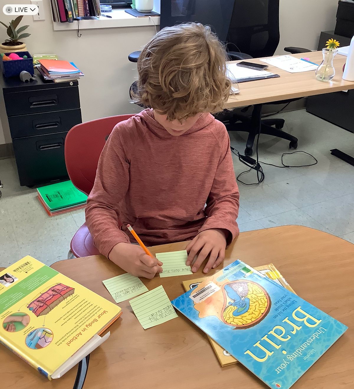 Grade 4 Unit of Inquiry Spotlight: Learning About Ourselves Through ...