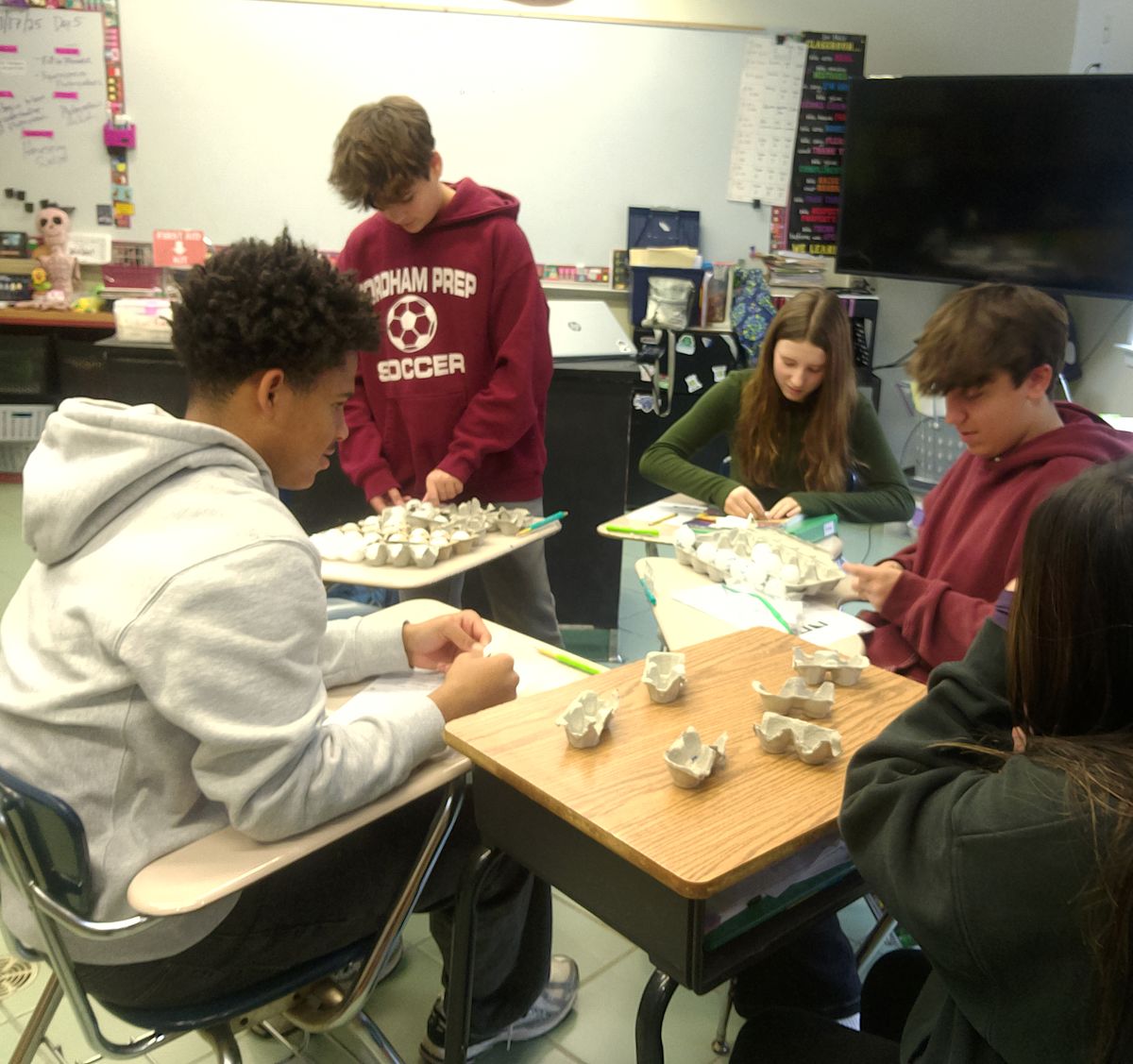 Eighth Graders Model Photosynthesis Through Hands-On Activity ...