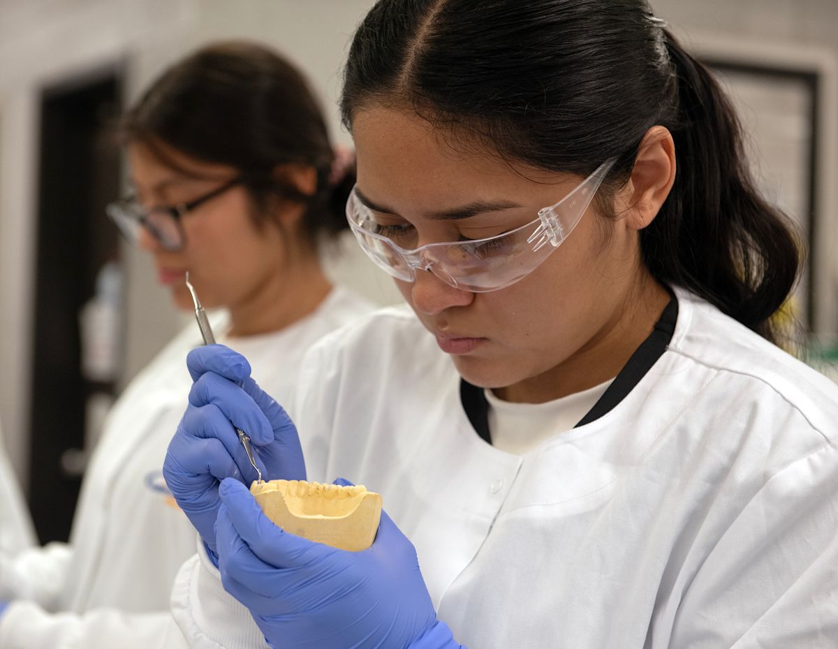 Hands-on Experience with Dental Fillings | Post Details