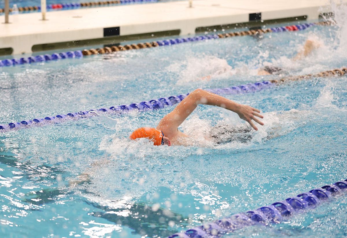 Aledo Swimming Shines! | AHS & DNG News Details