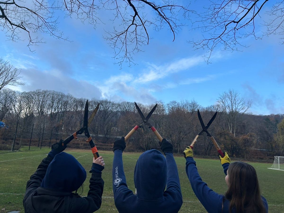 Environmental Task Force Tames Invasive Vines | Article