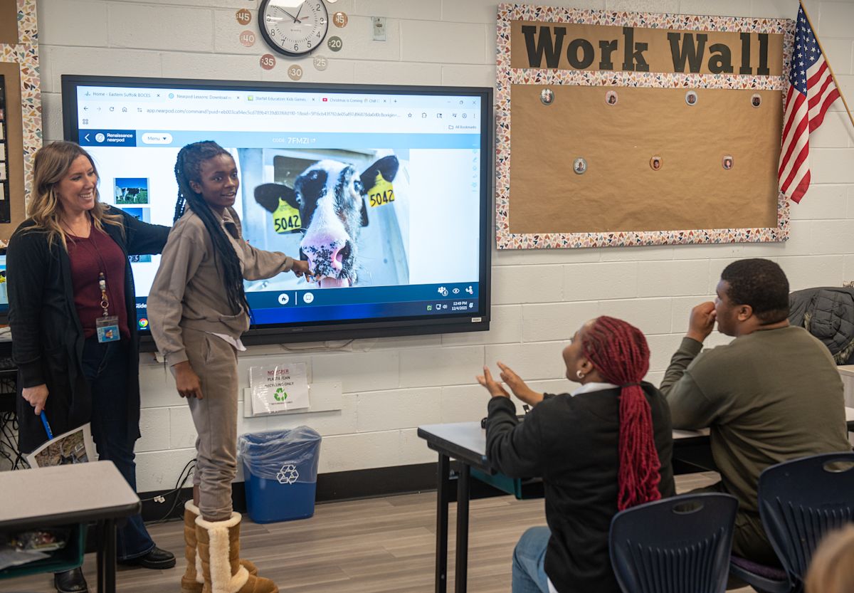 Lily the Cow Brings Farm Life to the Classroom | Post Details