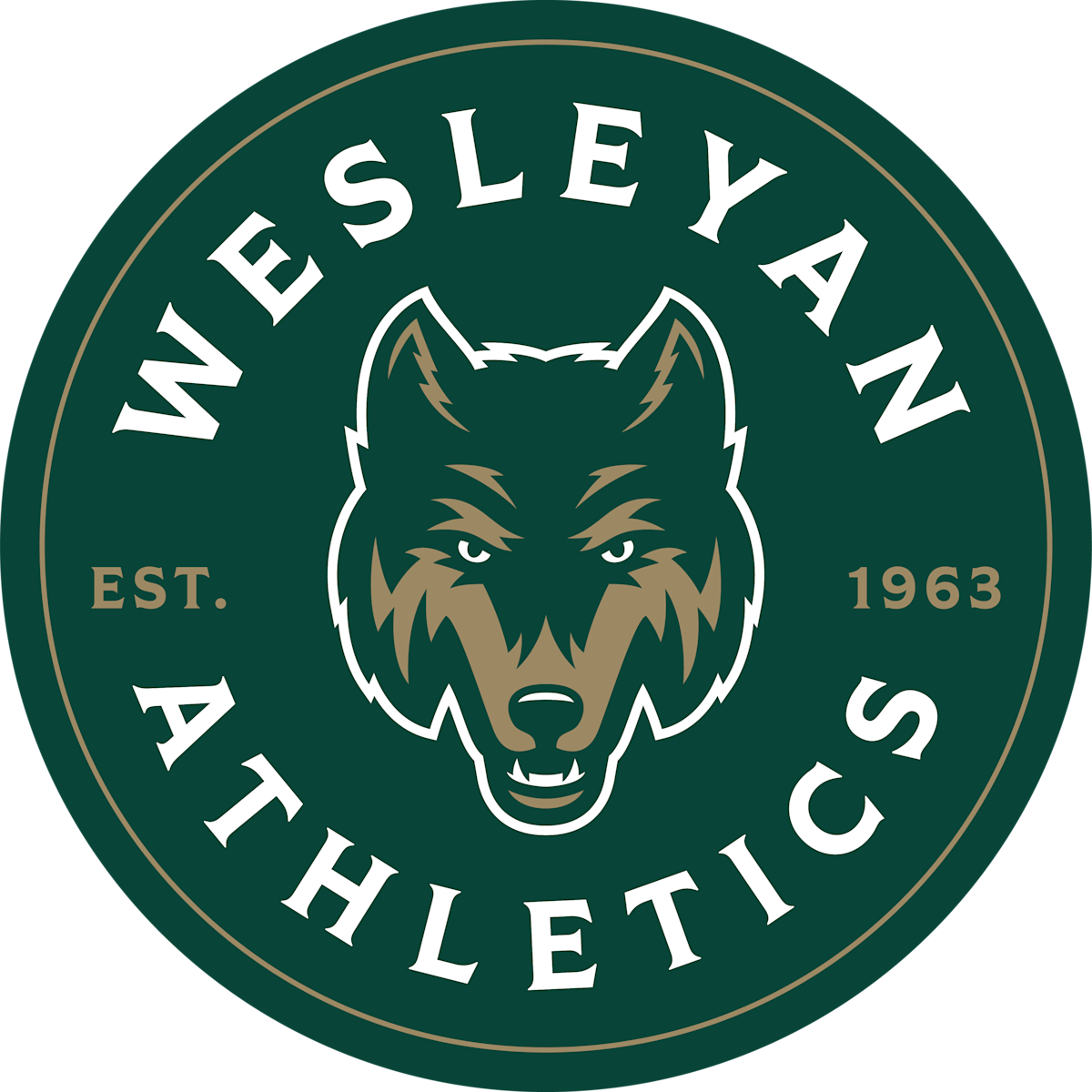 Four Wolves Named to Gwinnett Daily Post Super Six! | Post Details