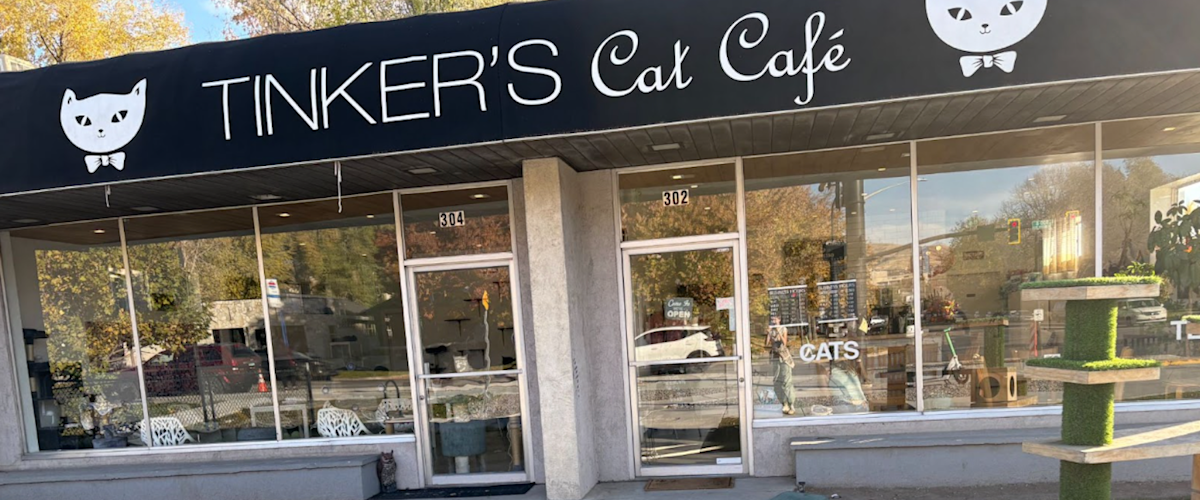 Tinker’s Cat Café Review | Story