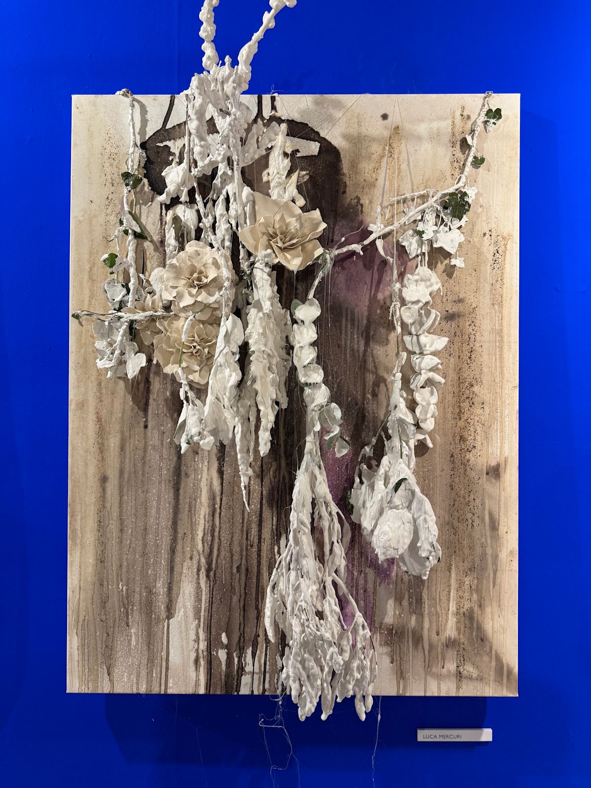 Spotlight on Our Sovereign Art Nominees | Junior News Post