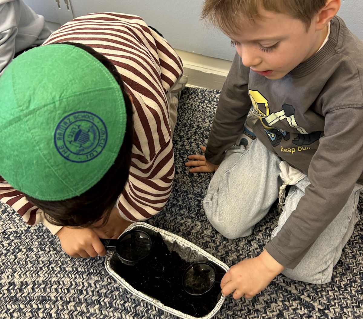 ECC Students Learn about Wheat for Parshat Vayeishev | Ramaz News - The ...