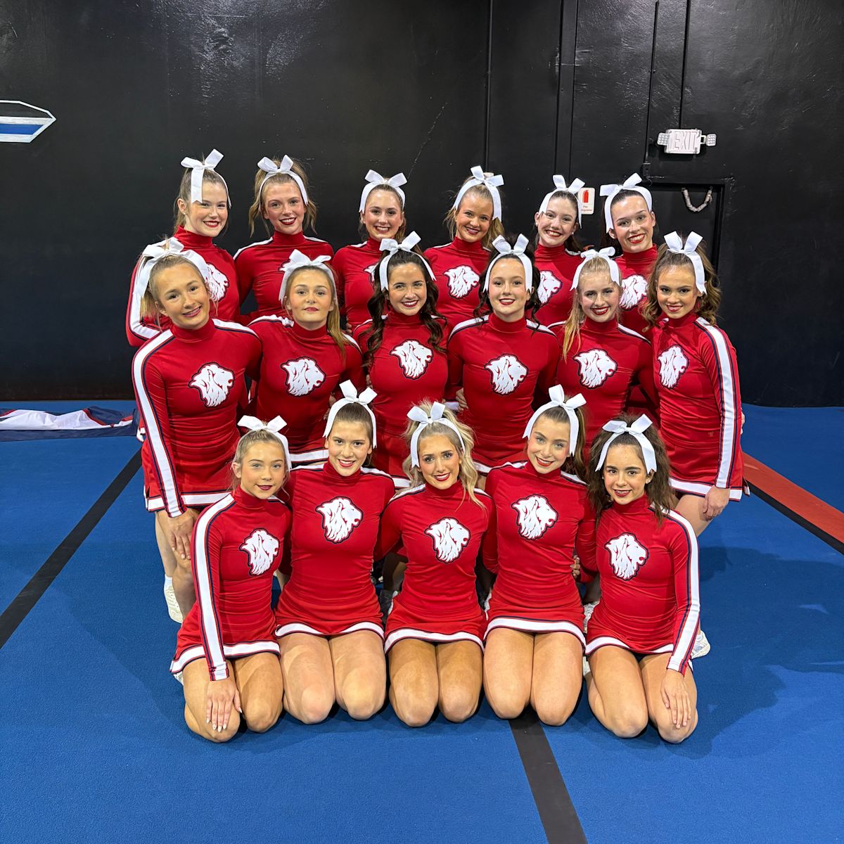 Competition Cheer Shines at State | News Posts Details