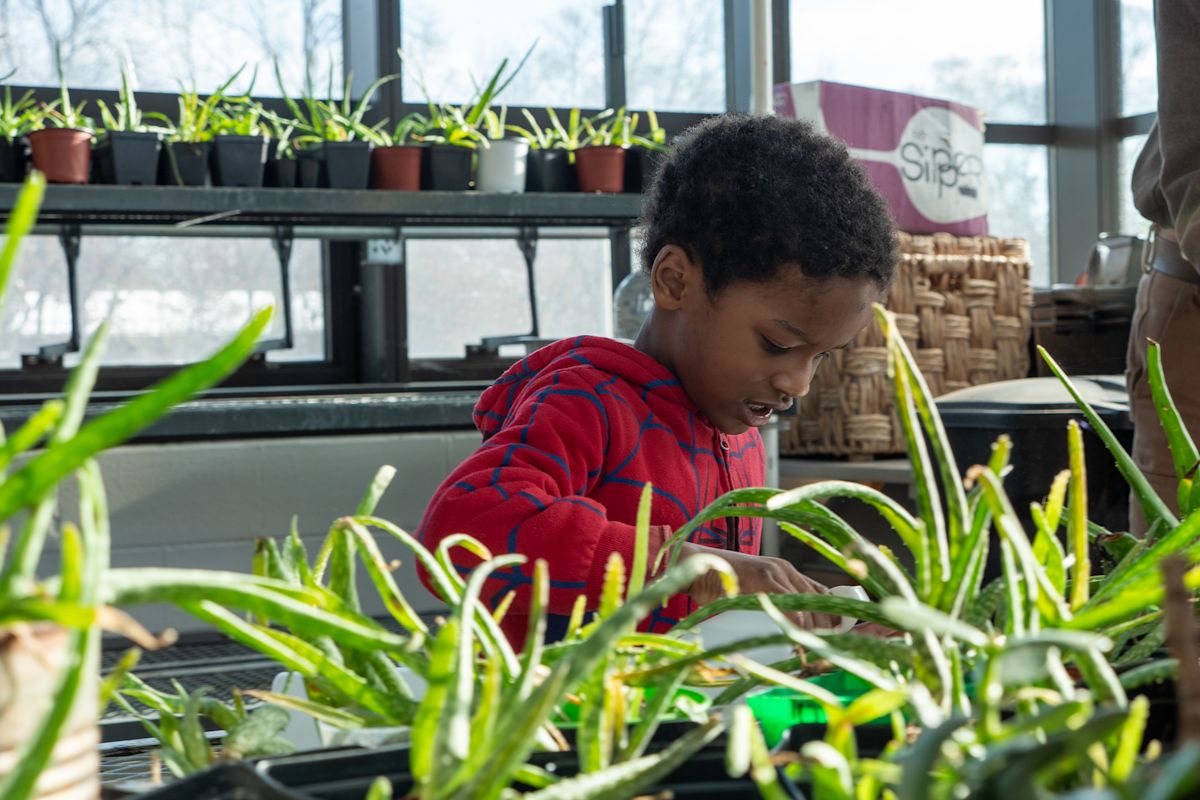 Gatewood's greenhouse helpers nurture plants and grow skills | article ...