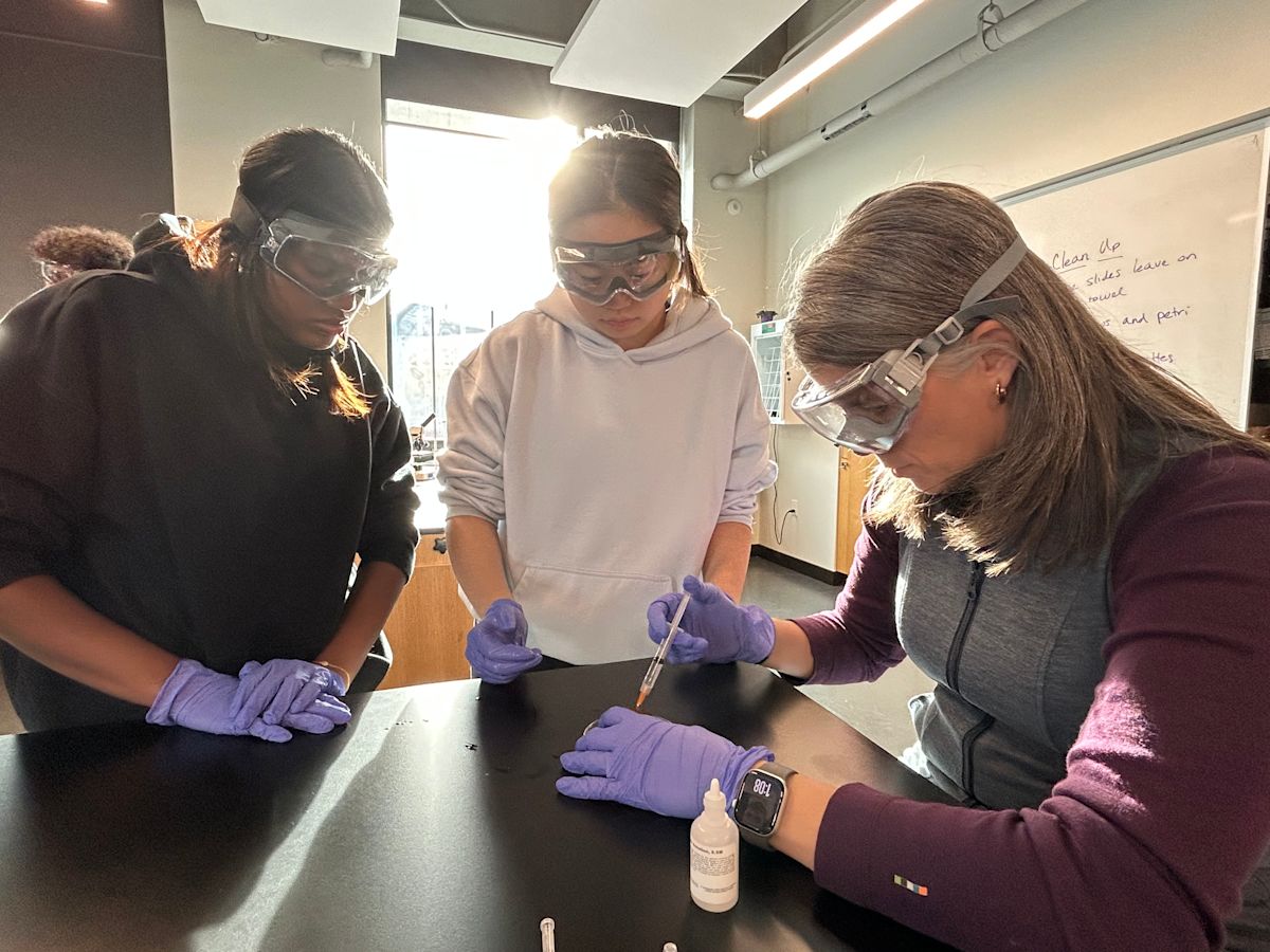 Spartan Snapshot: Science with Sea Urchins | News Story