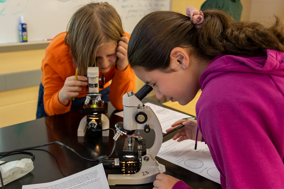 7th-Graders Explore Cells Under the Microscope | Post Details