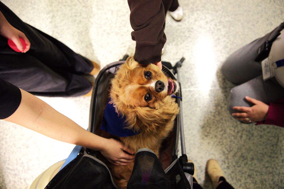 High School Wellness Week Promotes Mindfulness, Stress Management, and ...