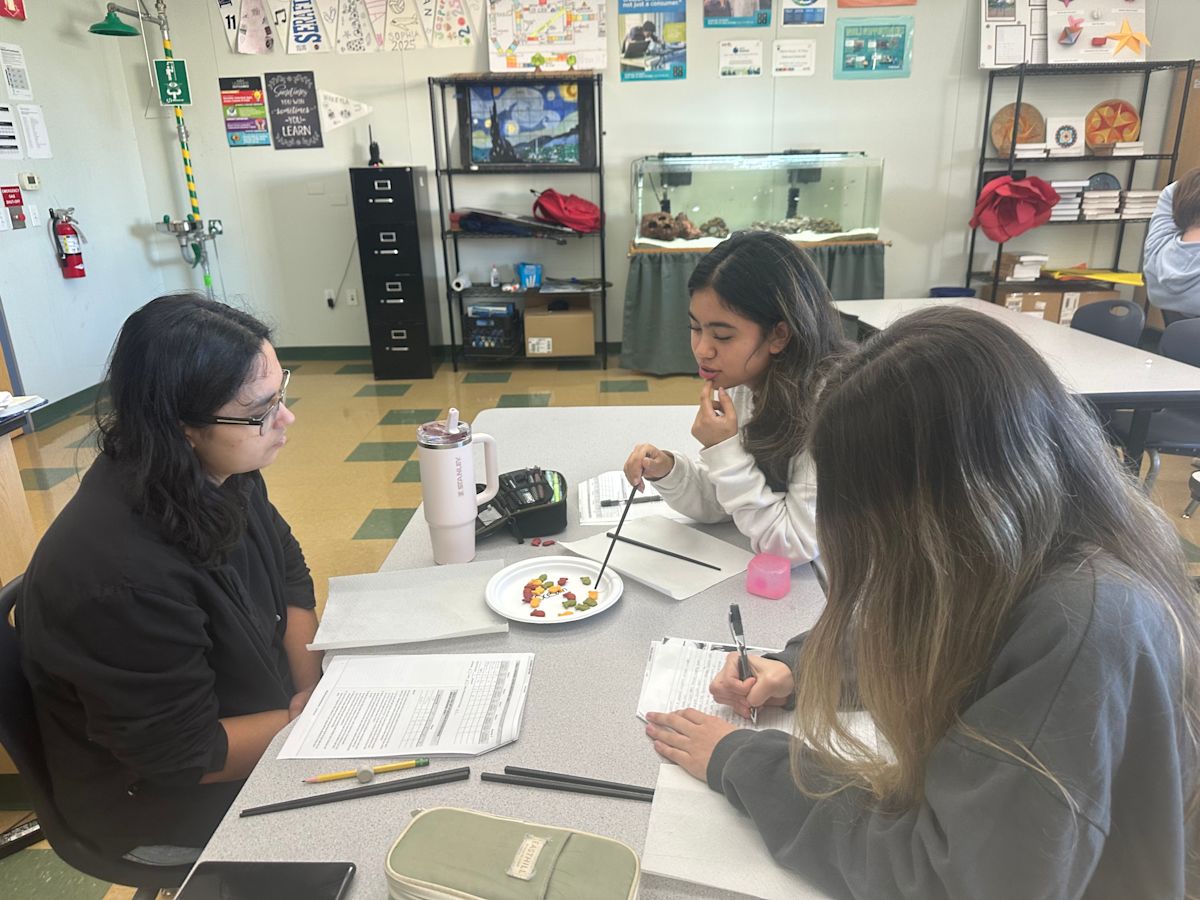 AP Environmental Science Students Explore Sustainable Resource ...