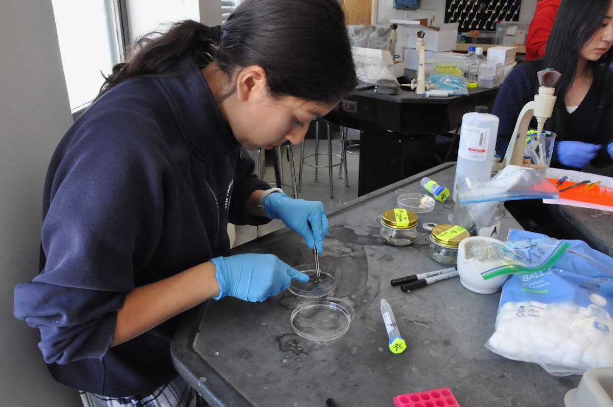 Science Research sophomores bring advanced DNA analysis to Ursuline ...