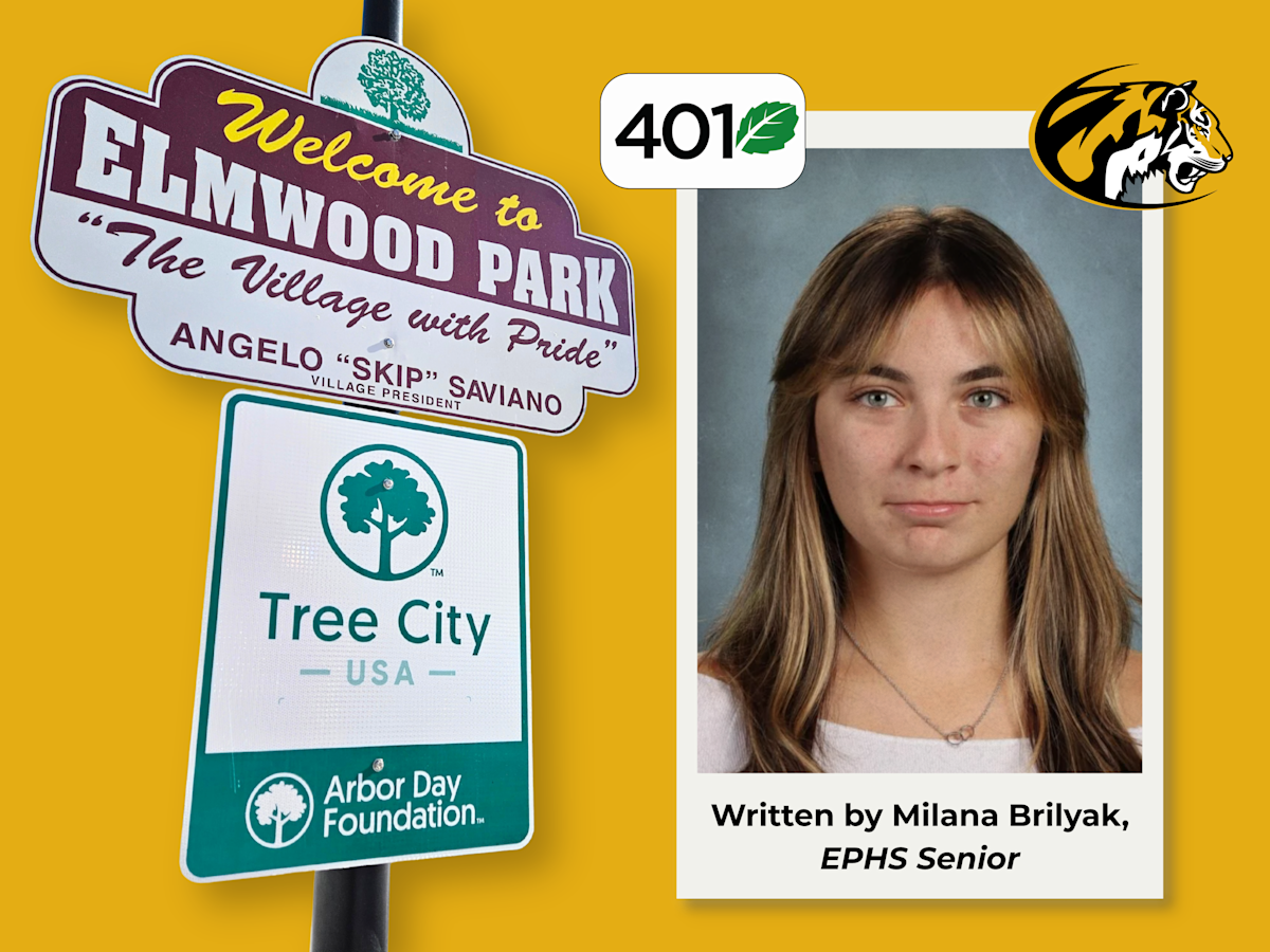 Life in Elmwood Park: A Student's Perspective | District News Details