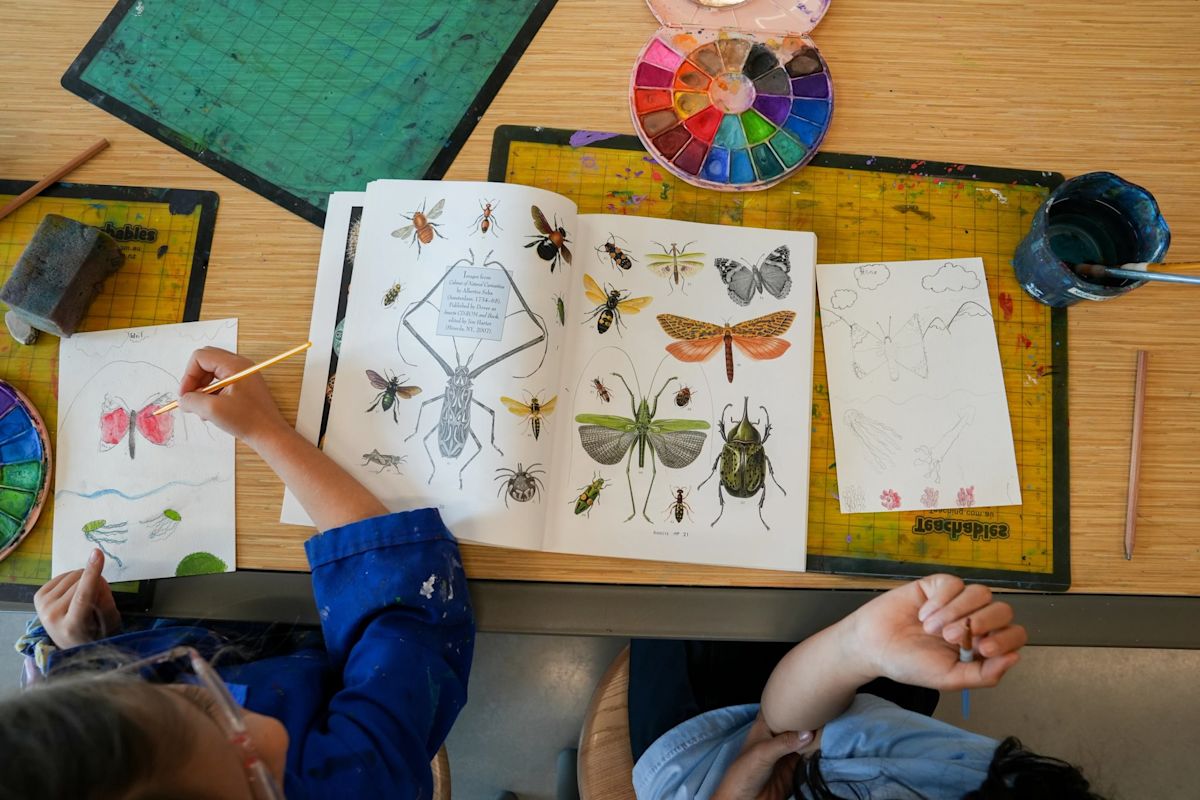 Art & Nature Learning in Grades 2–3 | Saigon South International School
