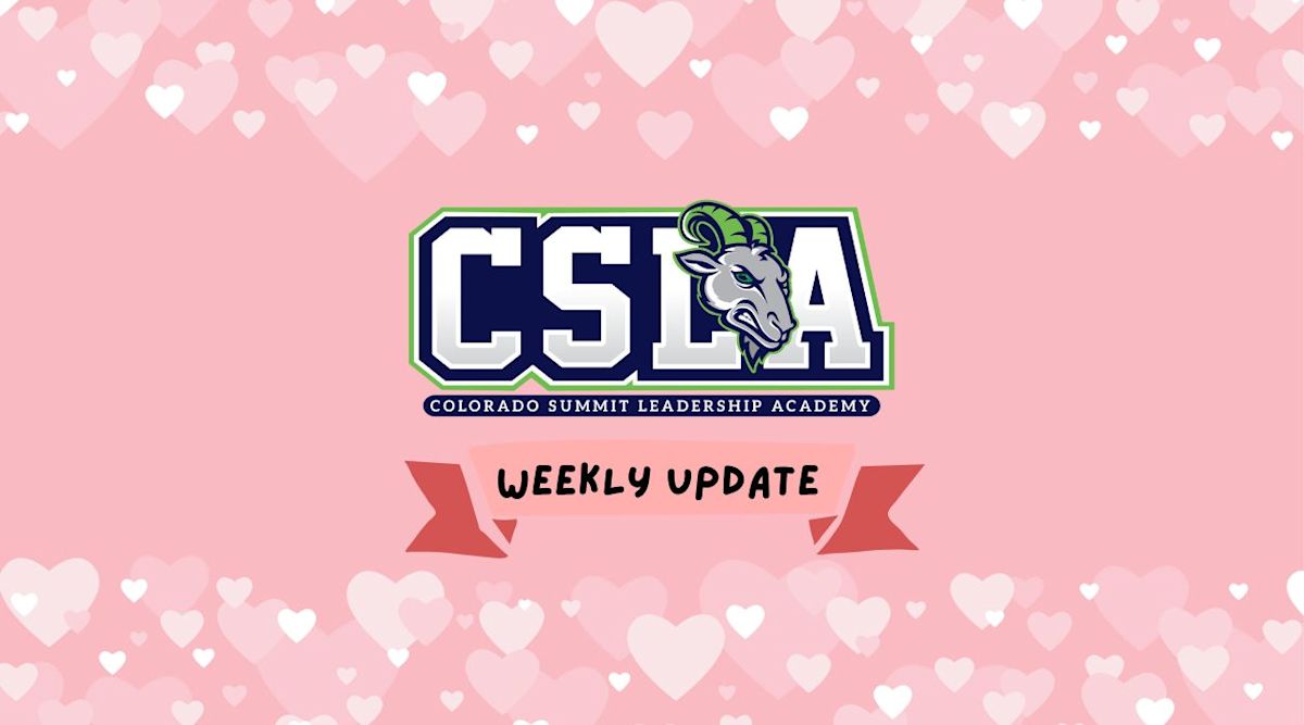 CSLA February Newsletter | News and Views from Harris Park