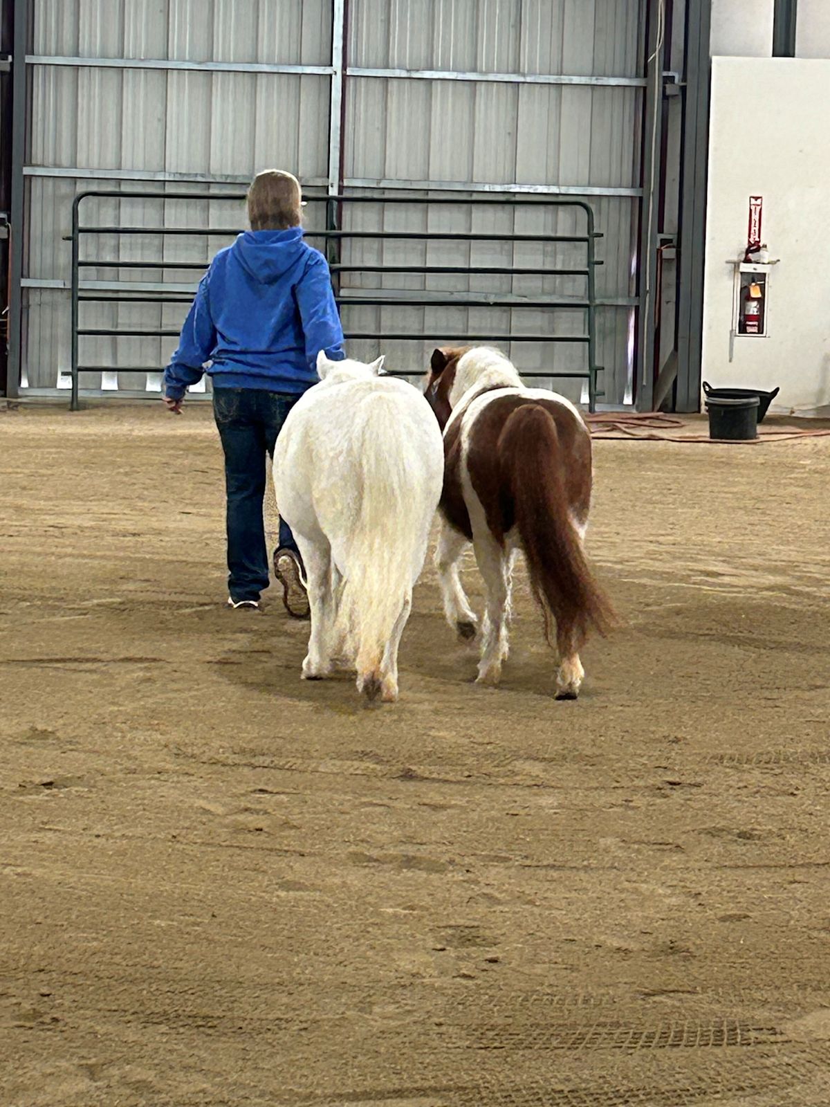 Students at Marvin Picollo School Receive Generous Gift From Reno Rodeo ...
