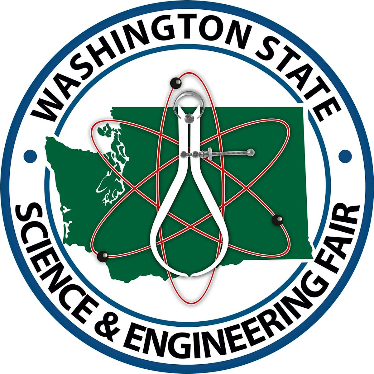 LWSD students perform well at state science and engineering fair, some ...