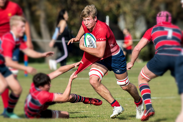 Felstedians Representing at Top Level in Rugby | Posts Page