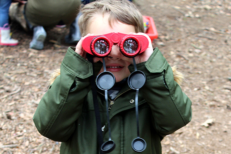 Felsted Fun in the Forest | Posts Page