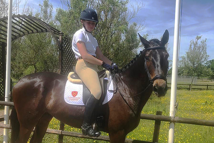 New Hall School Arena Eventing Show | Posts Page