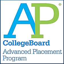 2019 AP Scholars recognized by College Board | News Details