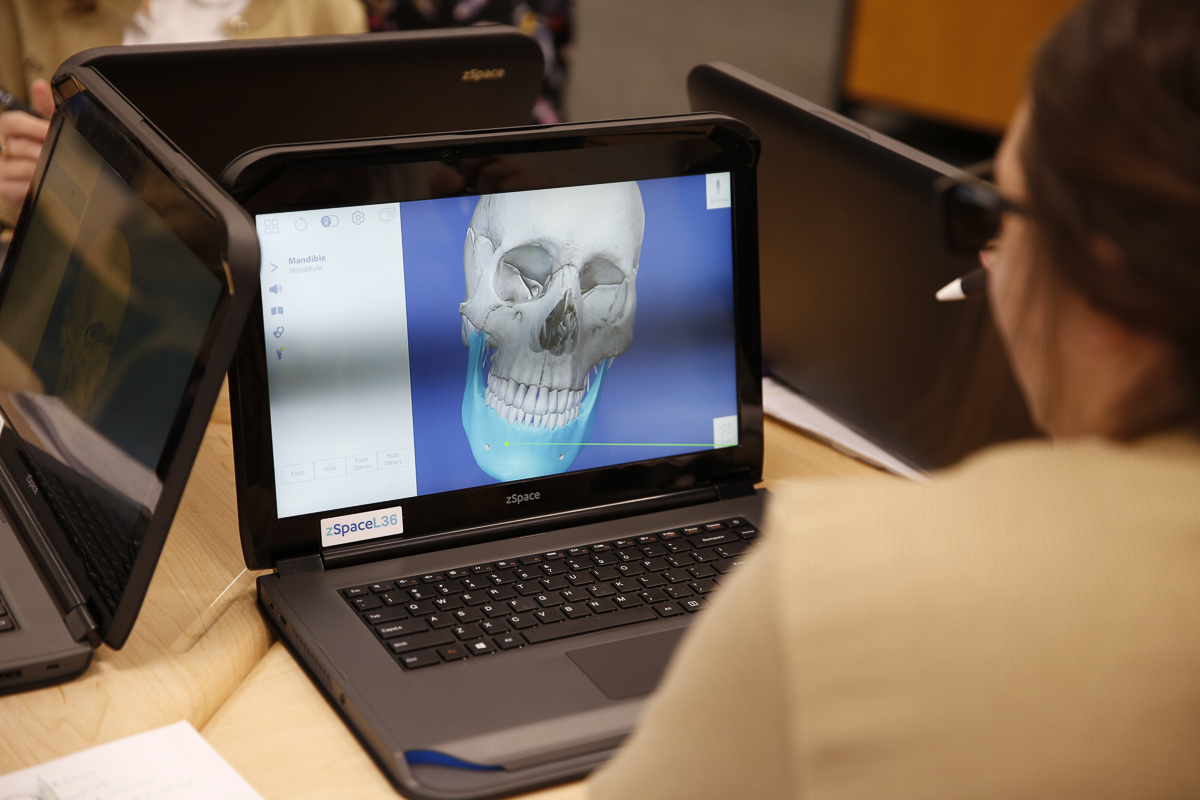 zSpace: Skeletal System | News Post General - Mount Carmel Academy