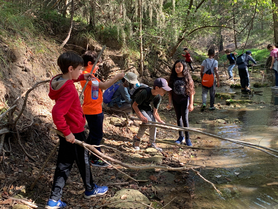 Upper Elementary Students Take on Texas Flora and Fauna | News