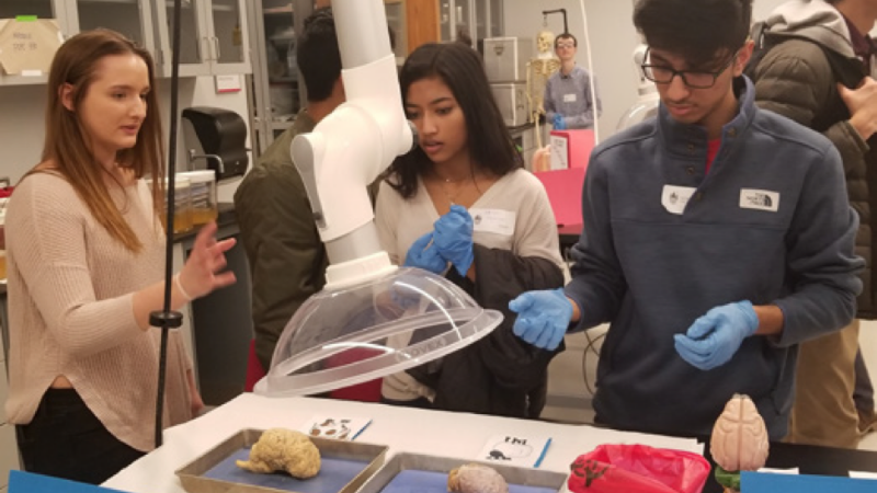 Psychology Club - Stevenson High School
