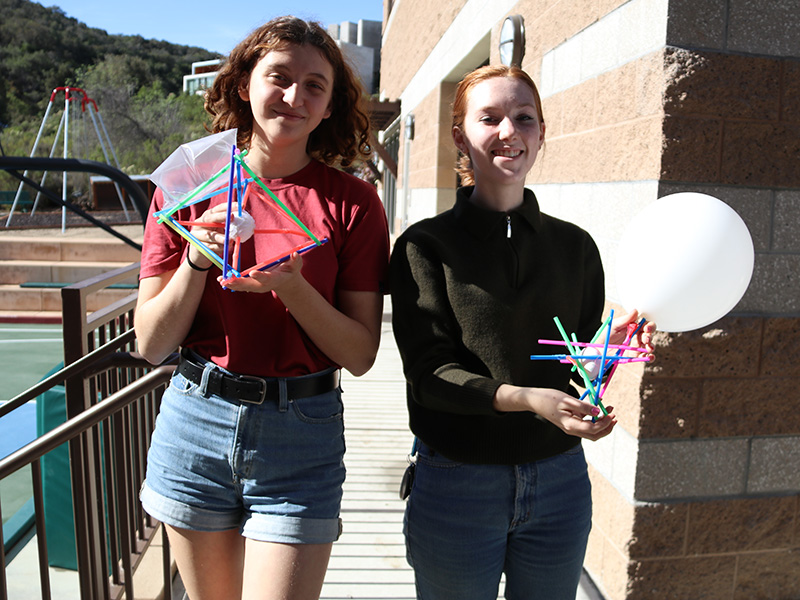 Grauer Physics Class - "Egg Drop" Momentum & Energy Project | Post ...