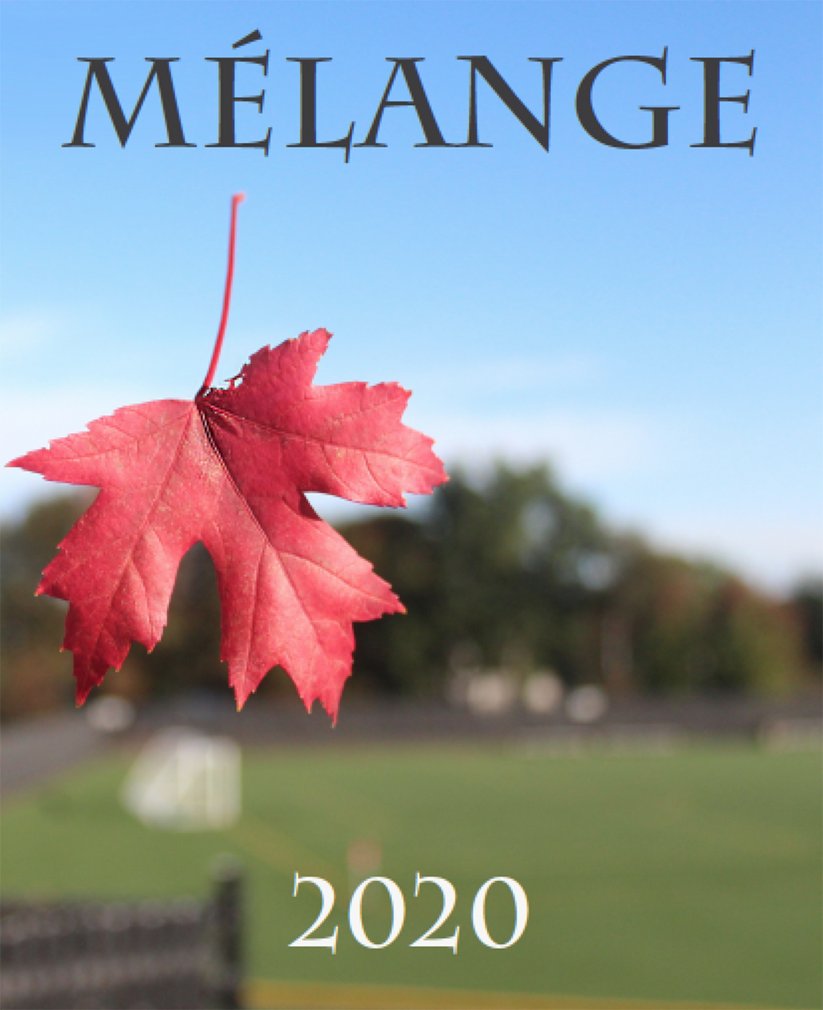 2020 Edition of Middle School Literary Magazine Unveiled | Morristown ...