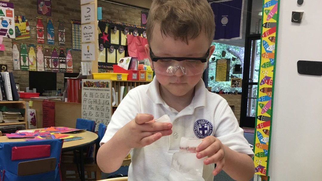 Spring Enrichment | Content Post - Saint Mary's Hall