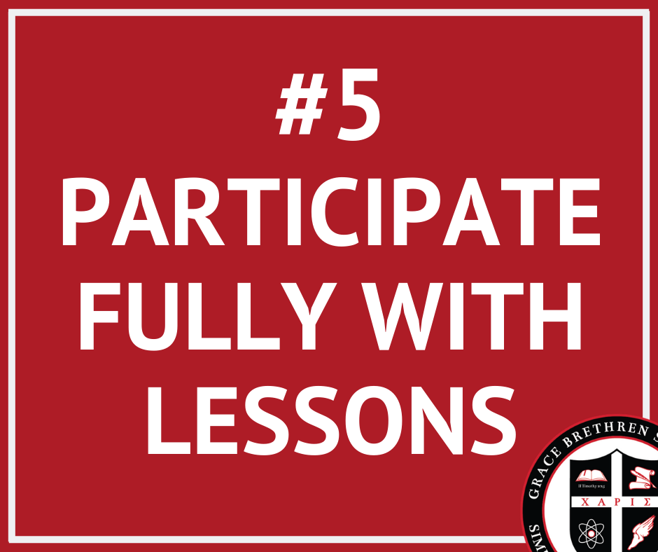 Participate Fully with Lessons | Post Details