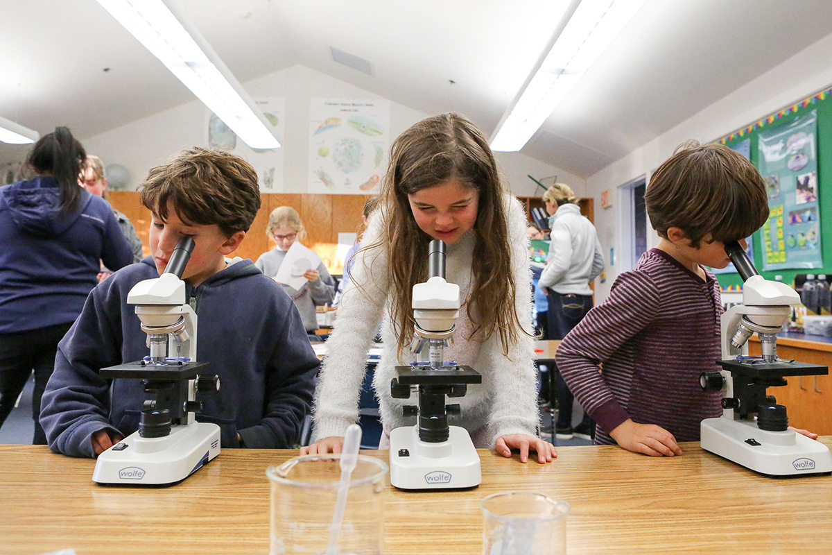 Family STEM Night | Blog