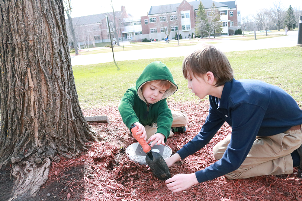 Friendships that Grow on Trees | USM Today