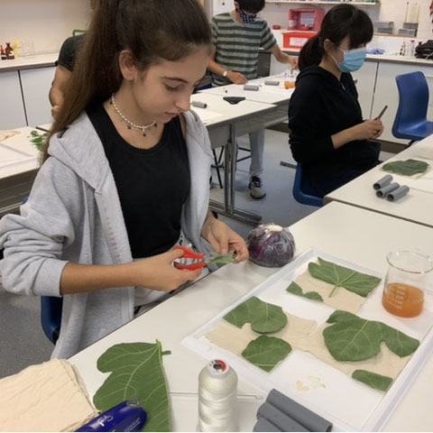 Eco-printing in Science and Design | News Post