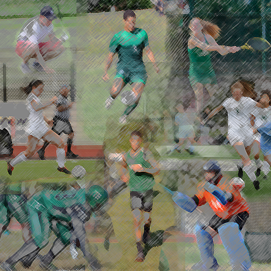 2020 Fall Sport Spectator Protocols | News Story