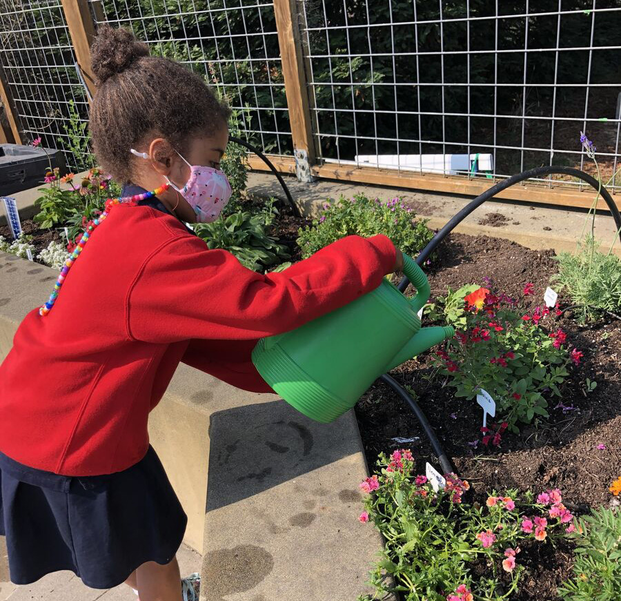 Science in the Garden | Blog