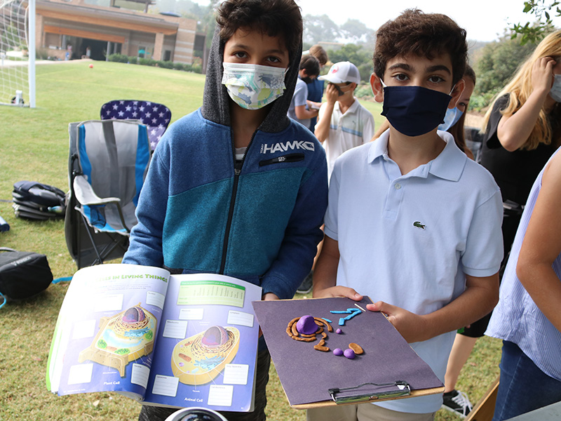 7th Grade Life Science - Cell Model Projects | Post Details - The ...